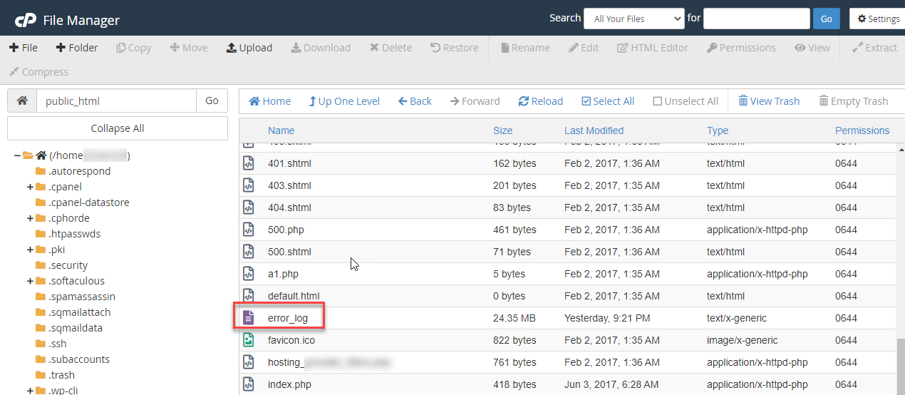 How To Access Cpanel Error Logs For Troubleshooting